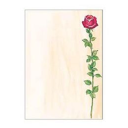 Sigel Motivpapier Rose Bloom Motiv DIN A4 90 g/qm 25 Blatt