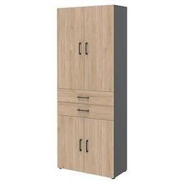 Röhr-Bush röhr Aktenschrank direct.office, 859H671000 hickory, anthrazit 3 Fachböden 80,0 x 33,5 x 212,5 cm