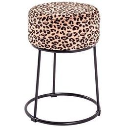 HAKU Möbel Hocker 22954 Leopard