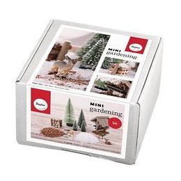 Rayher Bastelset Mini Gardening Winterdream weiß/grün/braun