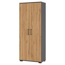 Germania Aktenschrank Profi 2.0, 4250-564 grafit, grandson-eiche 4 Fachböden 80,0 x 40,0 x 200,0 cm