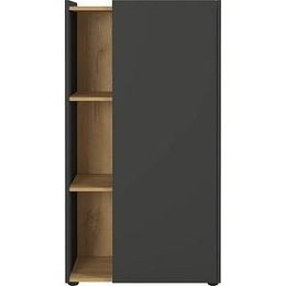 Germania Aktenschrank Austin, 2976-549 grafit, eiche 2 Fachböden 62,0 x 42,0 x 115,0 cm