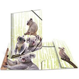 3 Herma Sammelmappen DIN A4 Koalas