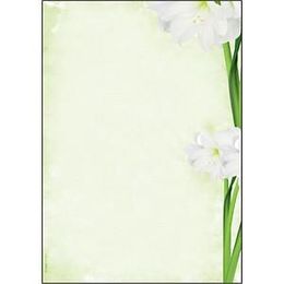 Sigel Motivpapier Green Flower Motiv DIN A4 90 g/qm 25 Blatt