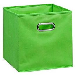 zeller Aufbewahrungsbox 30,0 l grün 32,0 x 32,0 x 32,0 cm