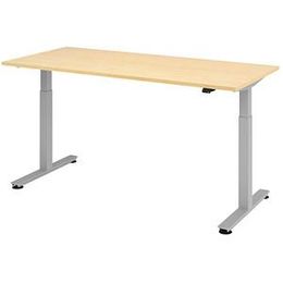 Hammerbacher XMST19 elektrisch höhenverstellbarer Schreibtisch ahorn rechteckig, T-Fuß-Gestell silber 180,0 x 80,0 cm