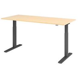 Hammerbacher XMKA19 elektrisch höhenverstellbarer Schreibtisch ahorn rechteckig, C-Fuß-Gestell grau 180,0 x 80,0 cm