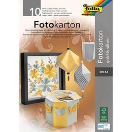Folia Fotokarton farbsortiert 300 g/qm 10 Blatt