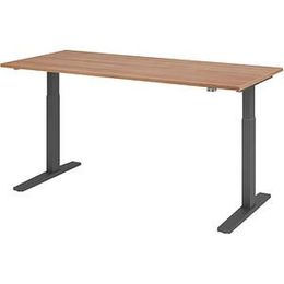 Hammerbacher XMKA19 elektrisch höhenverstellbarer Schreibtisch nussbaum rechteckig, C-Fuß-Gestell grau 180,0 x 80,0 cm