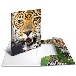 3 Herma Sammelmappen DIN A4 Leoparden