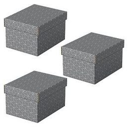 3 ESSELTE Home Aufbewahrungsboxen 6,5 l grau 20,0 x 25,5 x 15,0 cm