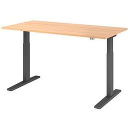 Hammerbacher XMKA16 elektrisch höhenverstellbarer Schreibtisch eiche rechteckig, C-Fuß-Gestell grau 160,0 x 80,0 cm