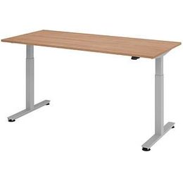 Hammerbacher XMST19 elektrisch höhenverstellbarer Schreibtisch nussbaum rechteckig, T-Fuß-Gestell silber 180,0 x 80,0 cm