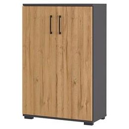 Germania Aktenschrank Profi 2.0, 4247-564 grafit, grandson-eiche 2 Fachböden 80,0 x 40,0 x 123,0 cm