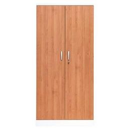 Gürkan Gürkan Stahlschrank 100115 verkehrsweiß, erle 92,0 x 42,0 x 195,0 cm, aufgebaut