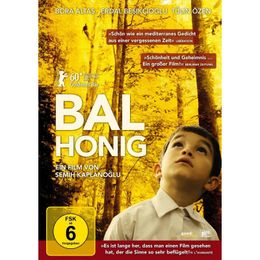 Indigo Bal - Honig (DVD)