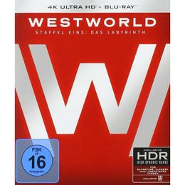 WBHE Westworld - Staffel 1 (4K Ultra HD)