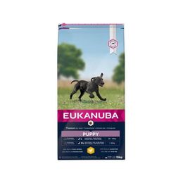 eukanuba Puppy Large Breed 15 kg