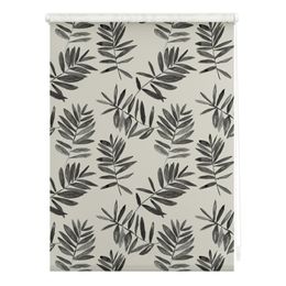 LICHTBLICK Rollo Klemmfix, ohne Bohren, blickdicht, Black Watercolor Branches - Schwarz