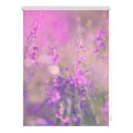 LICHTBLICK Rollo Klemmfix, ohne Bohren, Verdunkelung, Blumenwiese - Fuchsia Violett