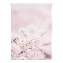 LICHTBLICK Rollo Klemmfix, ohne Bohren, Verdunkelung, Kirschbl&uuml;ten - Rosa Wei&szlig;