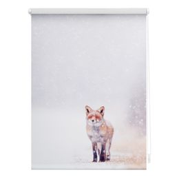 LICHTBLICK Rollo Klemmfix, ohne Bohren, Verdunkelung, Fuchs im Schnee - Wei&szlig; Rot