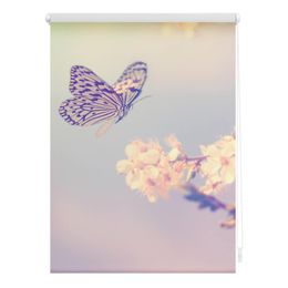 LICHTBLICK Rollo Klemmfix, ohne Bohren, Verdunkelung, Schmetterling - Rosa
