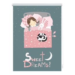 LICHTBLICK Rollo Klemmfix, ohne Bohren, Verdunkelung, Sweet Dreams - Grau Rosa