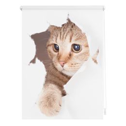LICHTBLICK Rollo Klemmfix, ohne Bohren, Verdunkelung, Katze - Wei&szlig; Braun
