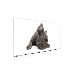 Primedeco Garderobenpaneel Magnetwand und Memoboard aus Glas Hund von Seite
