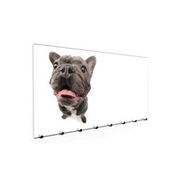 Primedeco Garderobenpaneel Magnetwand und Memoboard aus Glas Bulldogge von Nahemn