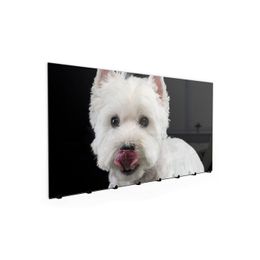 Primedeco Garderobenpaneel Magnetwand und Memoboard aus Glas Terrier