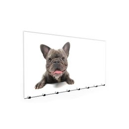 Primedeco Garderobenpaneel Magnetwand und Memoboard aus Glas Französische Bulldogge