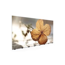 Primedeco Garderobenpaneel Magnetwand und Memoboard aus Glas Herbstdekoration