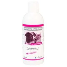alfavet Hexocare Shampoo 4% f.Hunde u.Katzen 250 ml