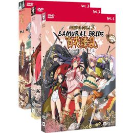 Samurai Girls - Staffel 2 - Gesamtausgabe - Vol. 1-3 (DVD)