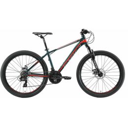 Bikestar Mountainbike, 21 Gang Shimano RD-TY300 Schaltwerk, Kettenschaltung, grün