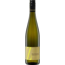 Weingut Jürgen Zimmermann Jürgen Zimmermann 2023 Wachenheimer Königswingert Riesling trocken