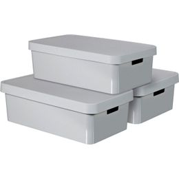 curver Organizer Infinity (Set, 3 St), Aufbewahrungsbox, 30 Liter, grau, grau