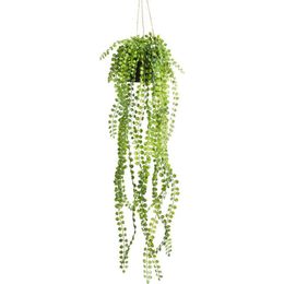 Künstliche Zimmerpflanze Ficus-Pumila-Hängeampel Ficus, Botanic-Haus, Höhe 60 cm, grün