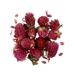 Creativ Company Dried Flowers Red Clover Purple 15gr