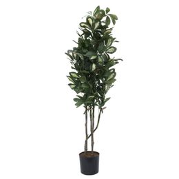 EUROPALMS Schefflera, 90cm - Kunstpflanze