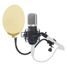 Pronomic Mikrofon CM-22 Studio Großmembranmikrofon (Popschutz gold-Set