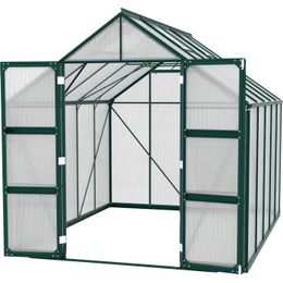 Vitavia Gewächshaus Domus 8300, BxTxH: 257 x 325 x 253,9 cm, 6 mm Wandstärke, mit Doppelschwingtüren und bodentiefer Türschwelle, 6 mm Hohlkammer, grün