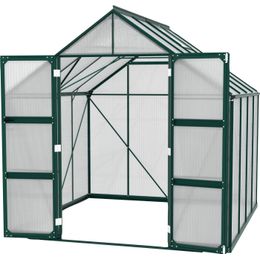 Vitavia Gewächshaus Domus 6700, BxTxH: 257 x 263 x 253,9 cm, 6 mm Wandstärke, mit Doppelschwingtüren und bodentiefer Türschwelle, 6 mm Hohlkammer, grün