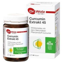 Dr. Wolz Zell GmbH Curcumin Extrakt 45 Dr.Wolz Kapseln 90 St