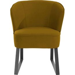 exxpo - sofa fashion Sessel Americano, mit Keder und Metallfüßen, Bezug in verschiedenen Qualitäten, 1 Stck., goldfarben