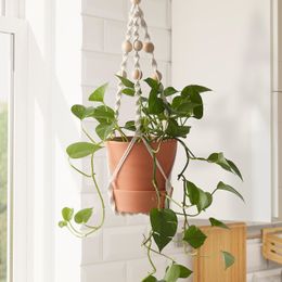 IKEA ANVÄNDBAR Blumenampel für Topf