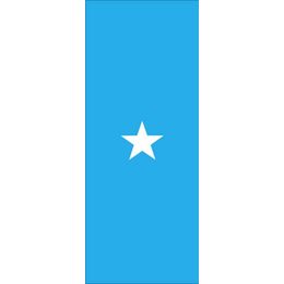 flaggenmeer Flagge Flagge Somalia 110 g/m² Hochformat