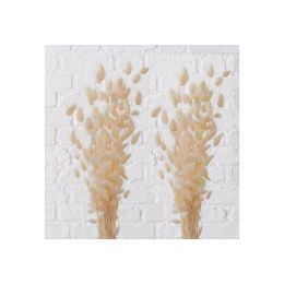 Trockenblume Fällö, Andas, Höhe 70 cm, Samtgras, 2er Set, weiß